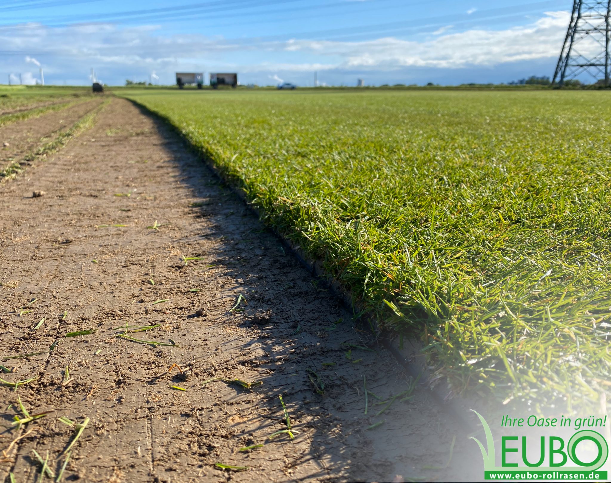 EuBo Rollrasen – Premium Rollrasen aus eigenem Anbau